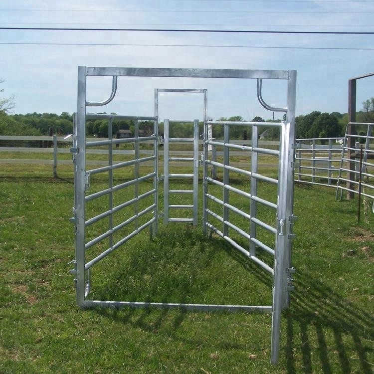 Buy Durable Square Tube Style Cattle Panels Frame 32mm, 40mm, 42mm from ...