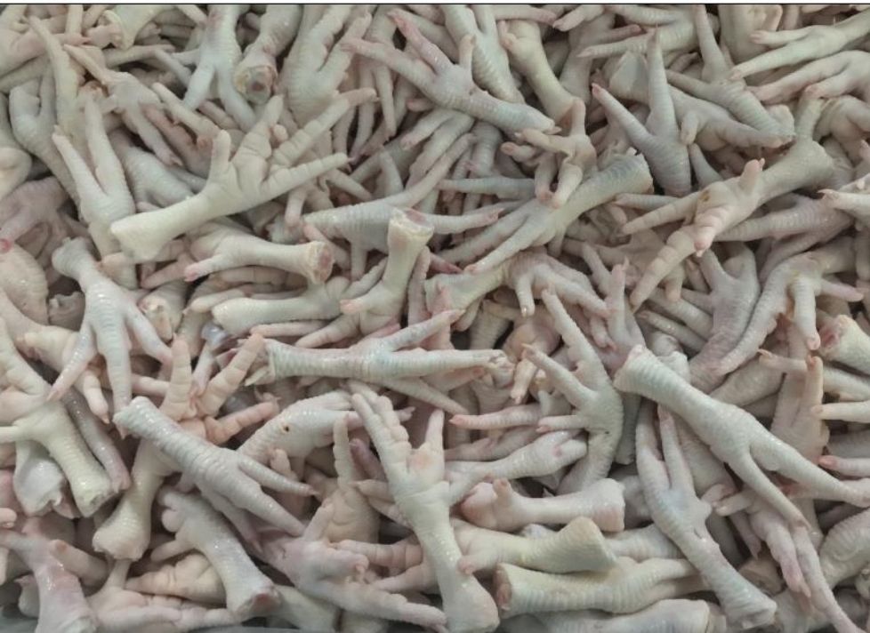 Buy Chicken Feet from Al Sherian International Est, Saudi Arabia ...