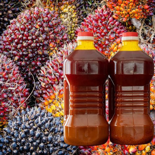 Buy Crude Palm Oil (cpo) – Sustainably Sourced. Industry Ready. from ...
