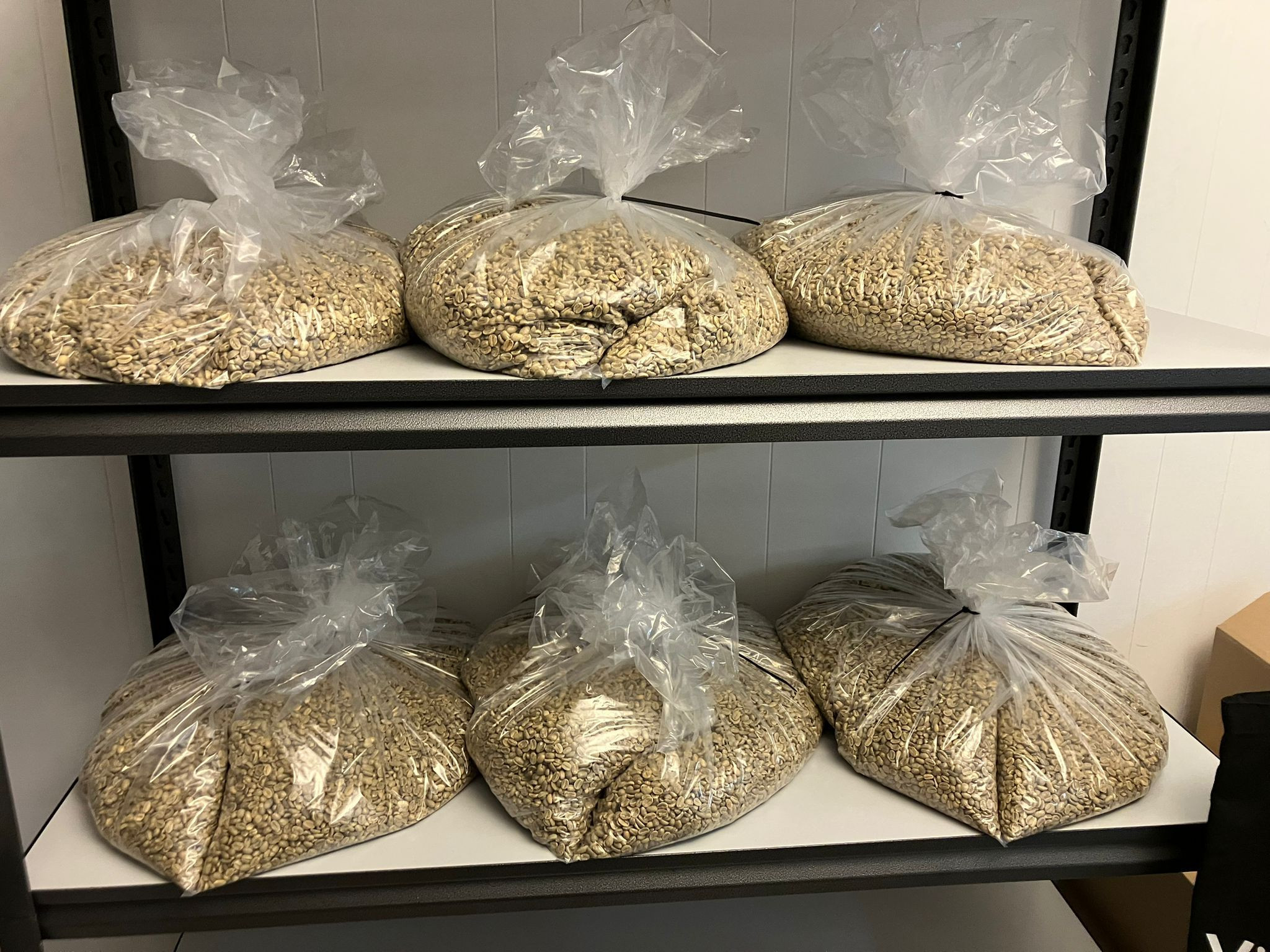 Buy Robusta Coffee Beans from Versccao, Cameroon | Tradewheel.com