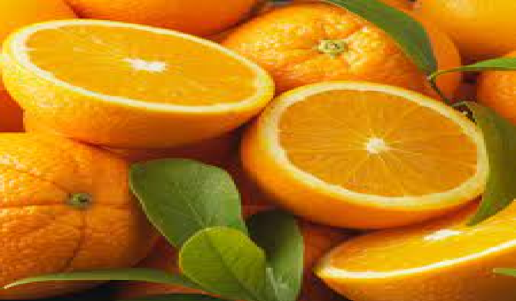 Buy Orange from PT. Mitra Surya Tama, Indonesia | Tradewheel.com