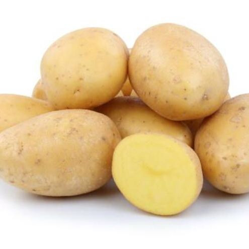 Buy Fresh Potatoes High Quality Potatoes from Turkish Manufactory ...