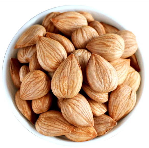 Buy Apricot Kernel In Shell, Apricot Pit Almond Wholesale from Natfood ...