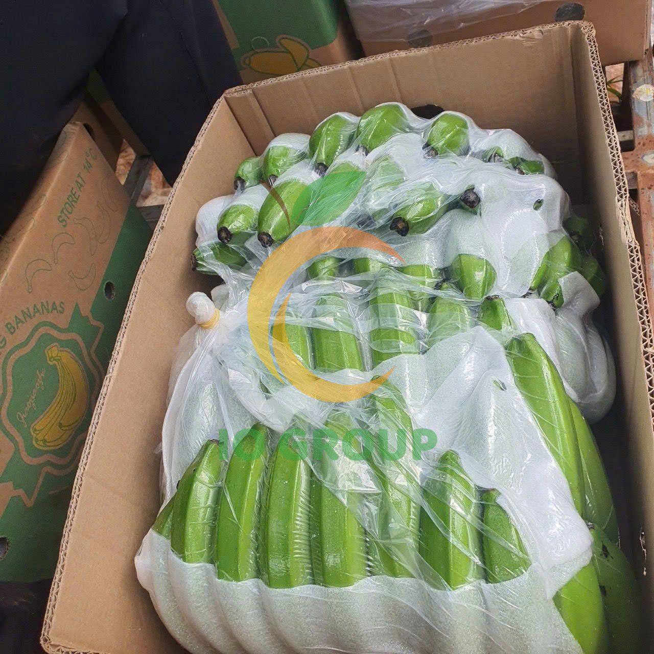Buy Fresh Cavendish Banana From Vietnam from IO TRADING GROUP CO., LTD ...