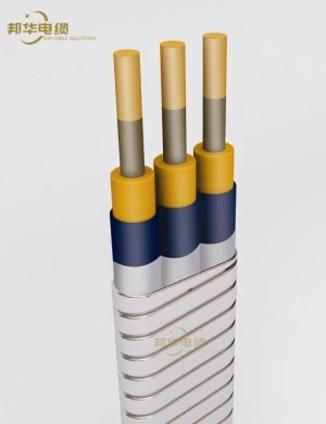 Buy Esp Cable/mle Cable from ESP Cable Solutions Co.,Limited, China ...