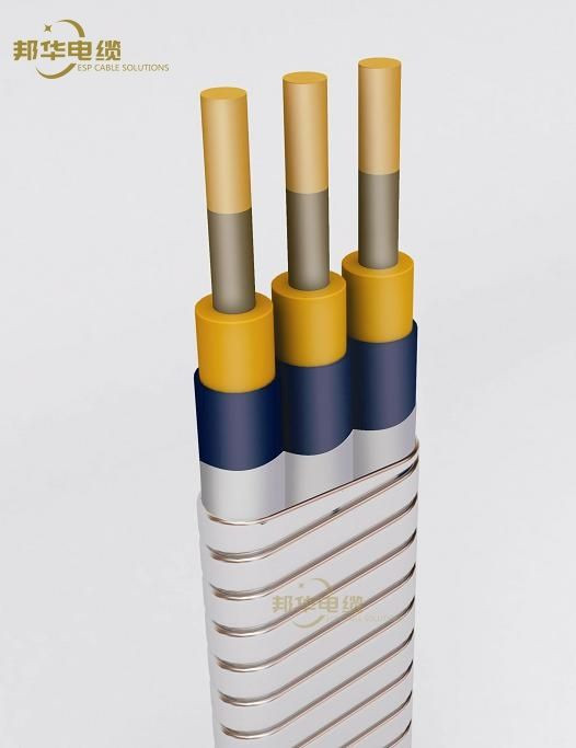 Buy Esp Cable/mle Cable from ESP Cable Solutions Co.,Limited, China ...