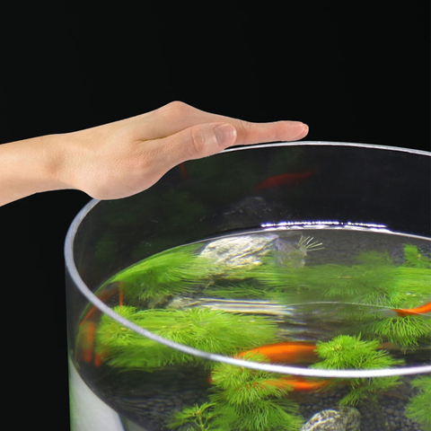 Buy Creative Acrylic Cylinder Fish Tank Living Room Desktop Small ...