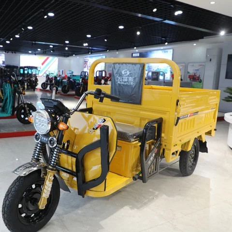 Buy Factory Supply 3 Wheel Electric Cargo Tricycle Strong Power 60v ...