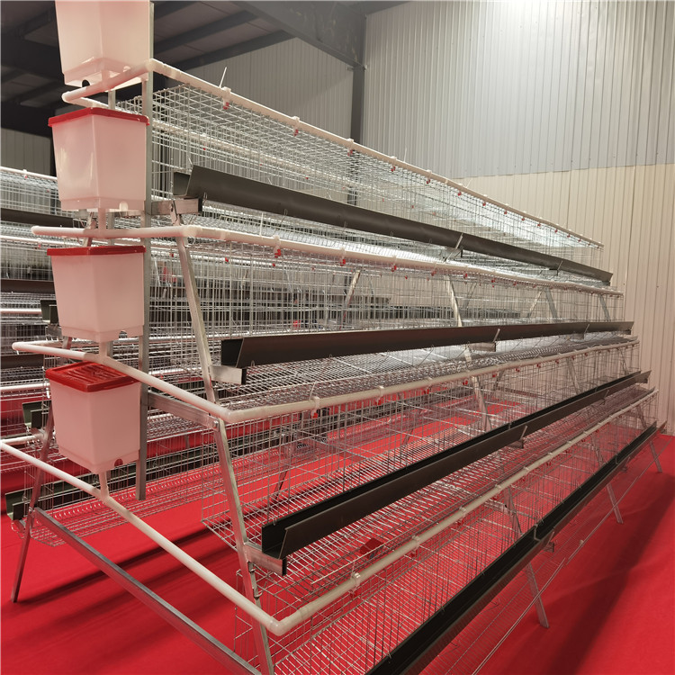 Buy High Quality Layer Chiken Cages ,chicken Poultry Equipment from ...