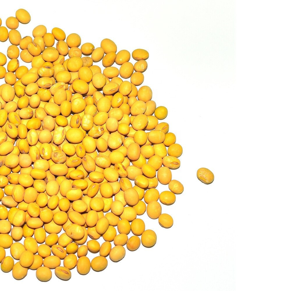 Buy Organic Soy Beans, Non-gmo Soybean from PRIMA LLC, Russia ...