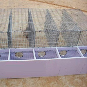 Buy Wire Mesh Quail Cage/wire Mesh Pallet Cage/wire Mesh Reptile Cage ...