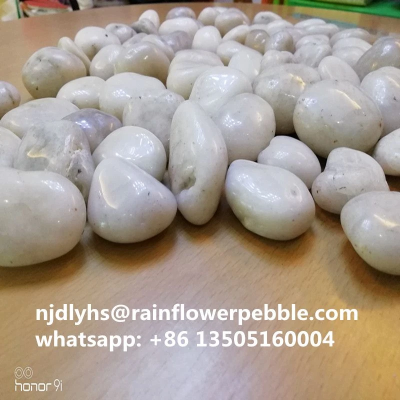 Buy White Pebble Stone White River Stone Tile For Garden Decoration ...