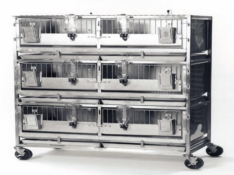 Buy Stainless Steel Racks For Rat & Mice Cages from Milton Enterprises ...