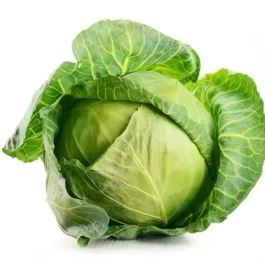 Buy Fresh Round Cabbage – Crisp, Nutrient-rich & Farm-fresh from AGRO ...