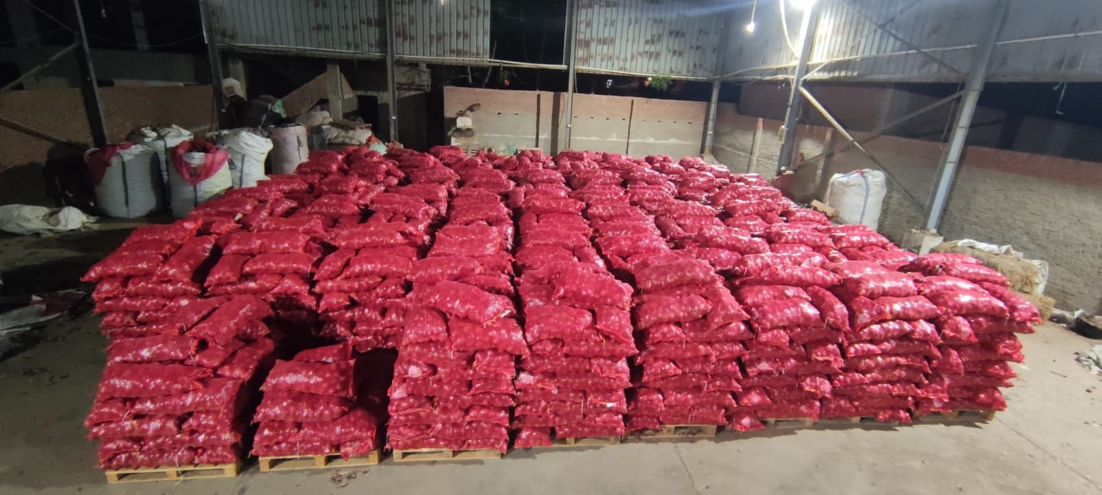Buy Fresh Onion from Kemet farms, Egypt | Tradewheel.com