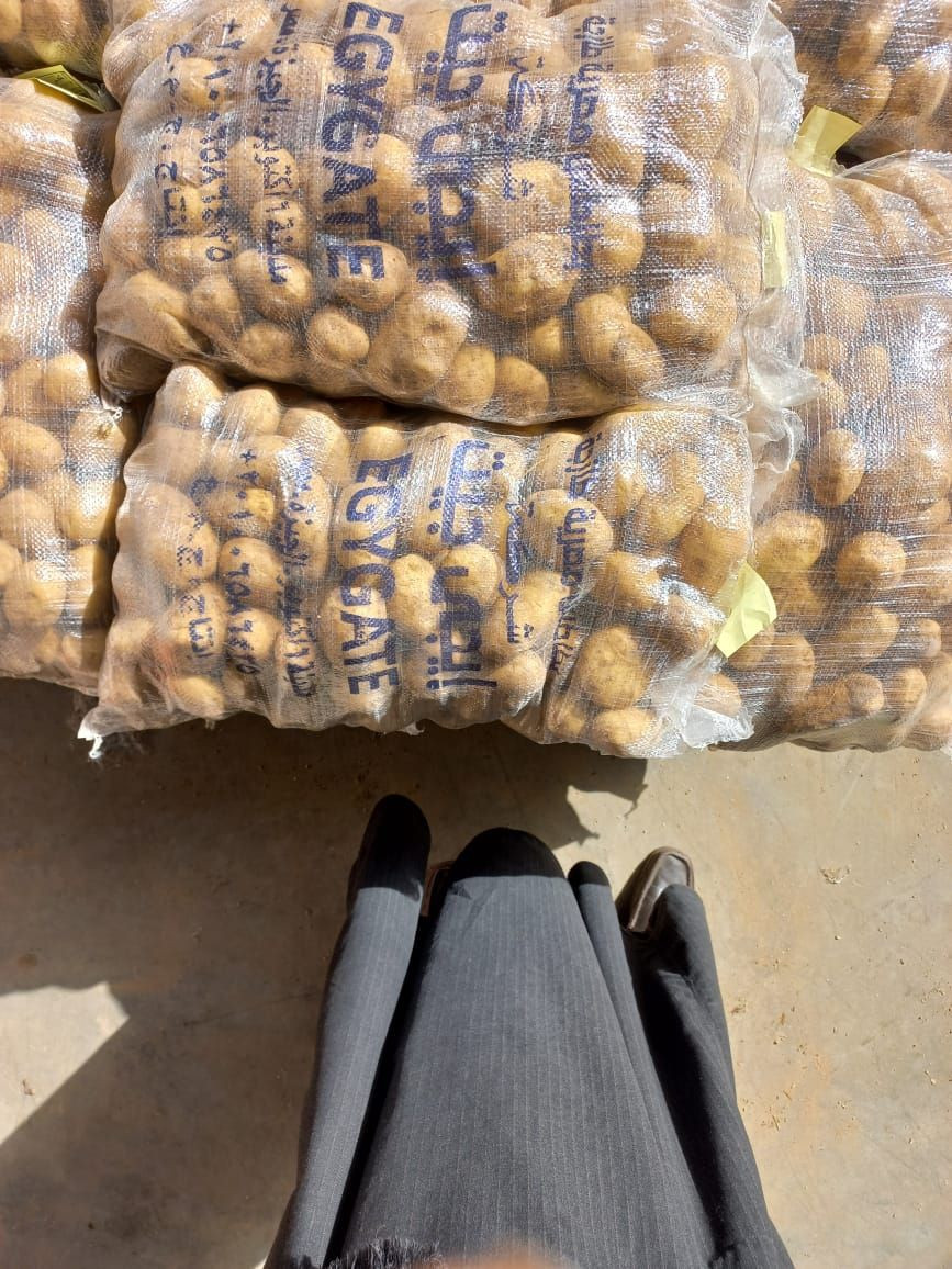 Buy Fresh Potato from Rwad Altabia Company, Egypt | Tradewheel.com