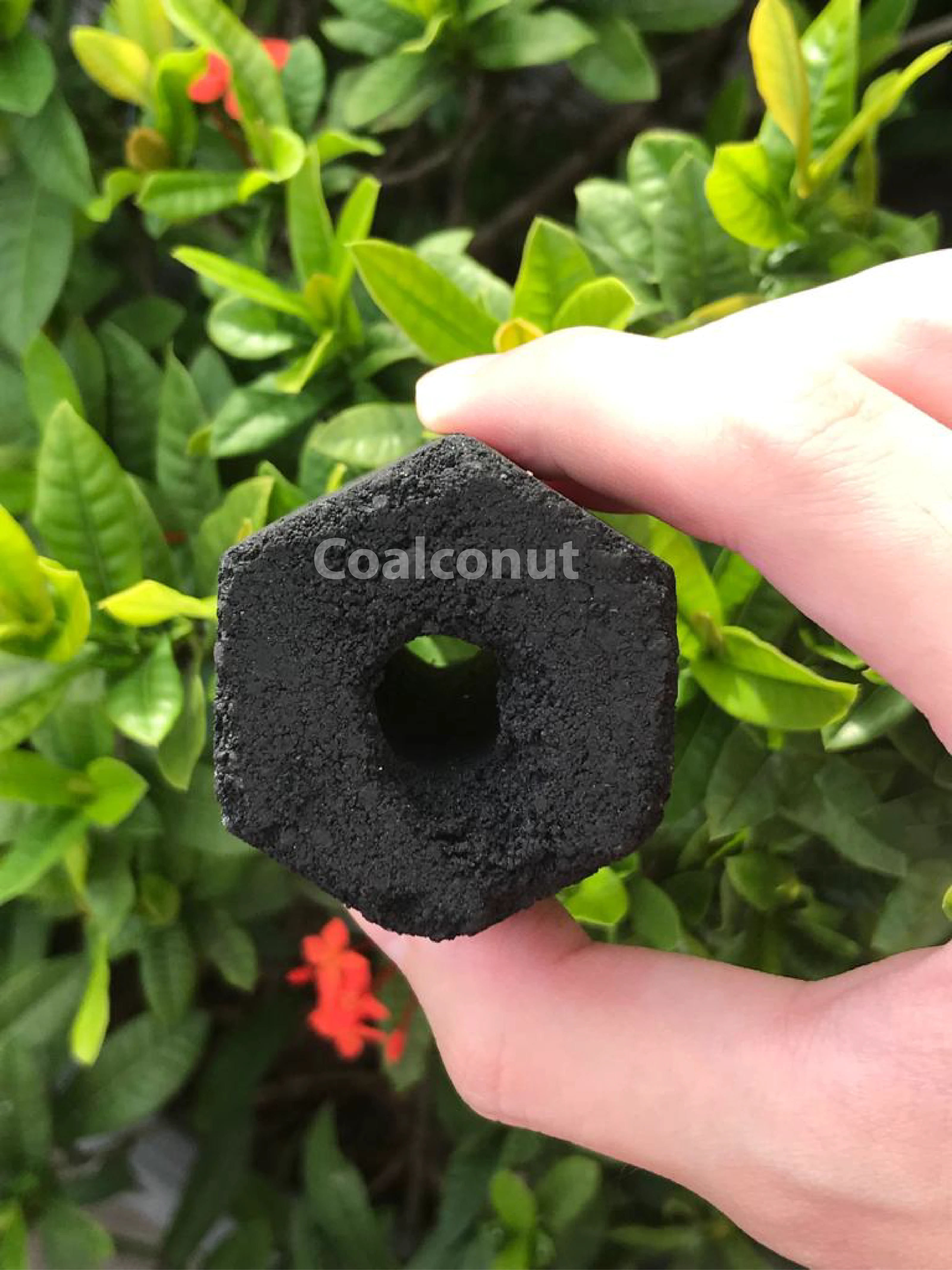Buy Coconut Bbq Briquette from Coalconut, Indonesia | Tradewheel.com