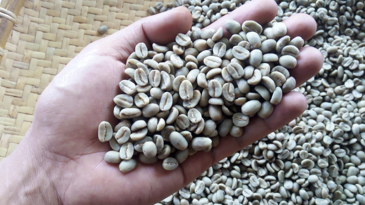 Buy Arabica Coffee Beans / Arabica Toraja G1/ Green And Roasted Coffee ...