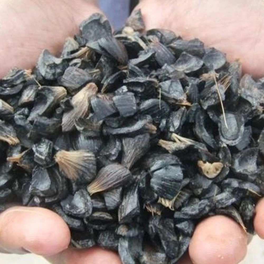 Buy Palm Kernel Shell from CRUSH AND HOLDINGS, South Africa ...