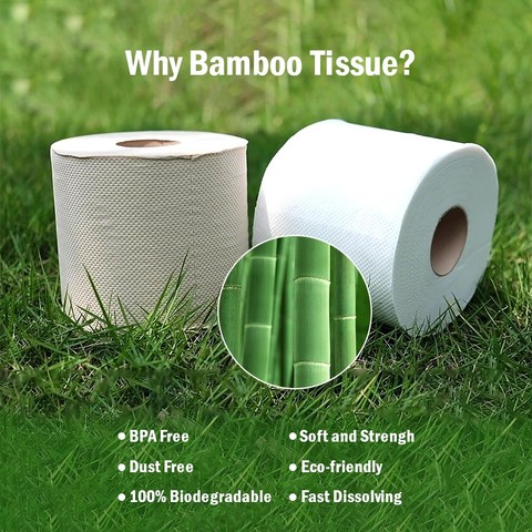 Buy 1-4ply Biodegradable Bamboo Pulp Toilet Paper Roll Toilet Tissue ...