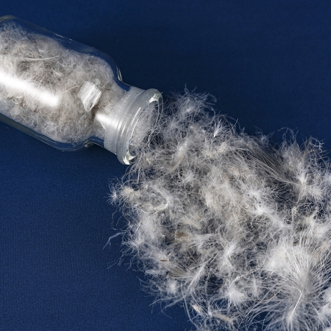 Buy 70% Free Sample China Filling Material Quality Feather Down Washed ...