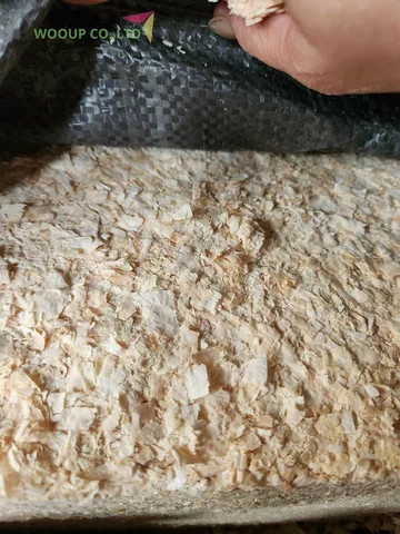 Buy Biodegradable White Wood Shavings Vietnamese Bedding Pet Wood ...