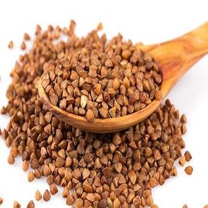 Buy Buckwheat Hot Cold Pack from ANTONIO AND SON PTY LTD, South Africa ...