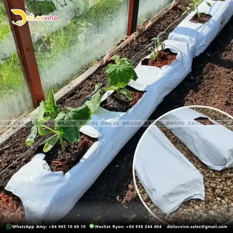 Buy Coco Peat Grow Bag Slabs Used For Growing Vegetable/ Strawberry ...
