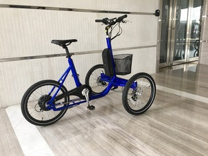 Buy Electric 2 Wheel Adult Cargo Tricycle With Front Two Wheel For ...
