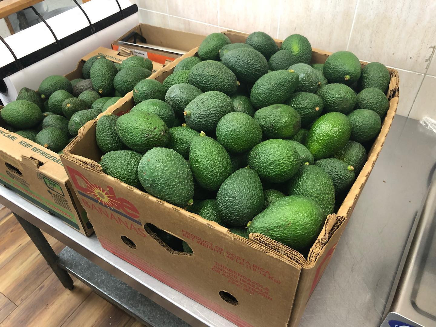 Buy Fresh Avocado from Z WORLD IMPORT AND EXPORT PTY LTD, South Africa ...