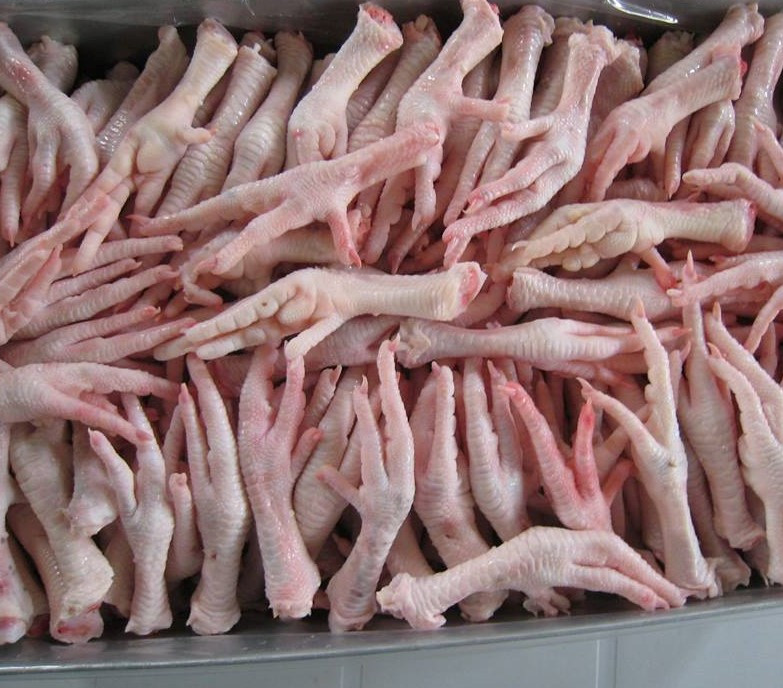 Buy Frozen Processed Brazil Chicken Feet & Paws (sif) from CLUBE DO ...