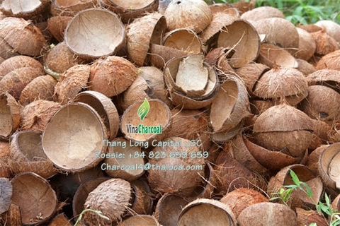 Buy Hookah Shisha Coconut Shell Charcoal Carvao De Coco from THANG LONG ...