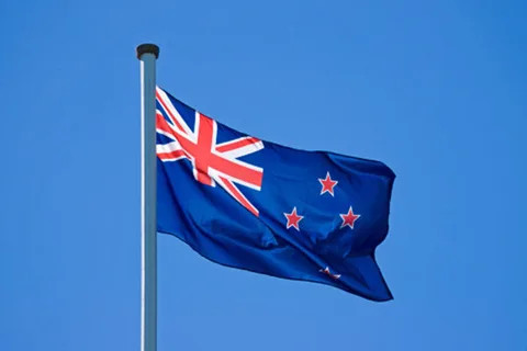 Buy New Zealand Size 3x5ft Stock New Zealand National Flag New Zealand ...