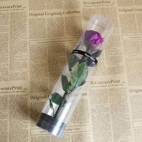 Buy Preserved Roses Flower With Long Stem Single Forever Rose For ...