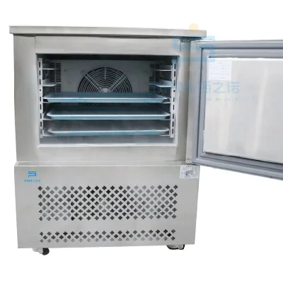 Buy Professioal Quick Fast Blast Freezer Small Quick Freezer Fruit from ...