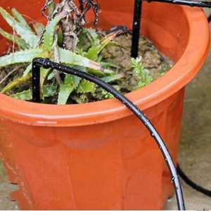 Buy Trilite Hydroponicindoor Irrigation System For Bonsai Spider ...
