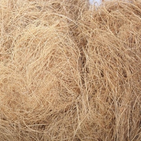 Buy Vietnam Natural Cocopeat Coconut Fiber from INTERYARTHRE COMPANY ...
