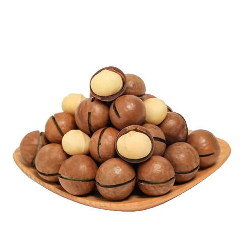 Buy Wholesale High Quality Dry Roasted China Organic Macadamia Nuts ...