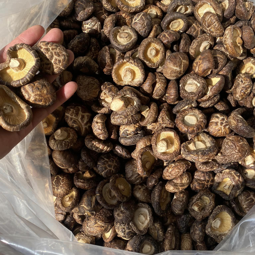 Buy Shiitake Mushroom 50% Discount Today from Thai Global Public Co ...