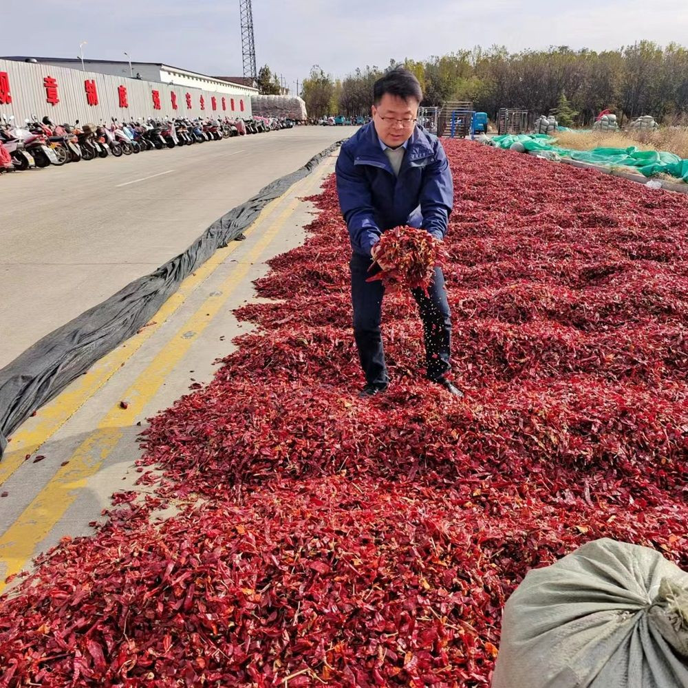 Buy Paprika Chopped Espain Quality European Quality Glufosinate ...