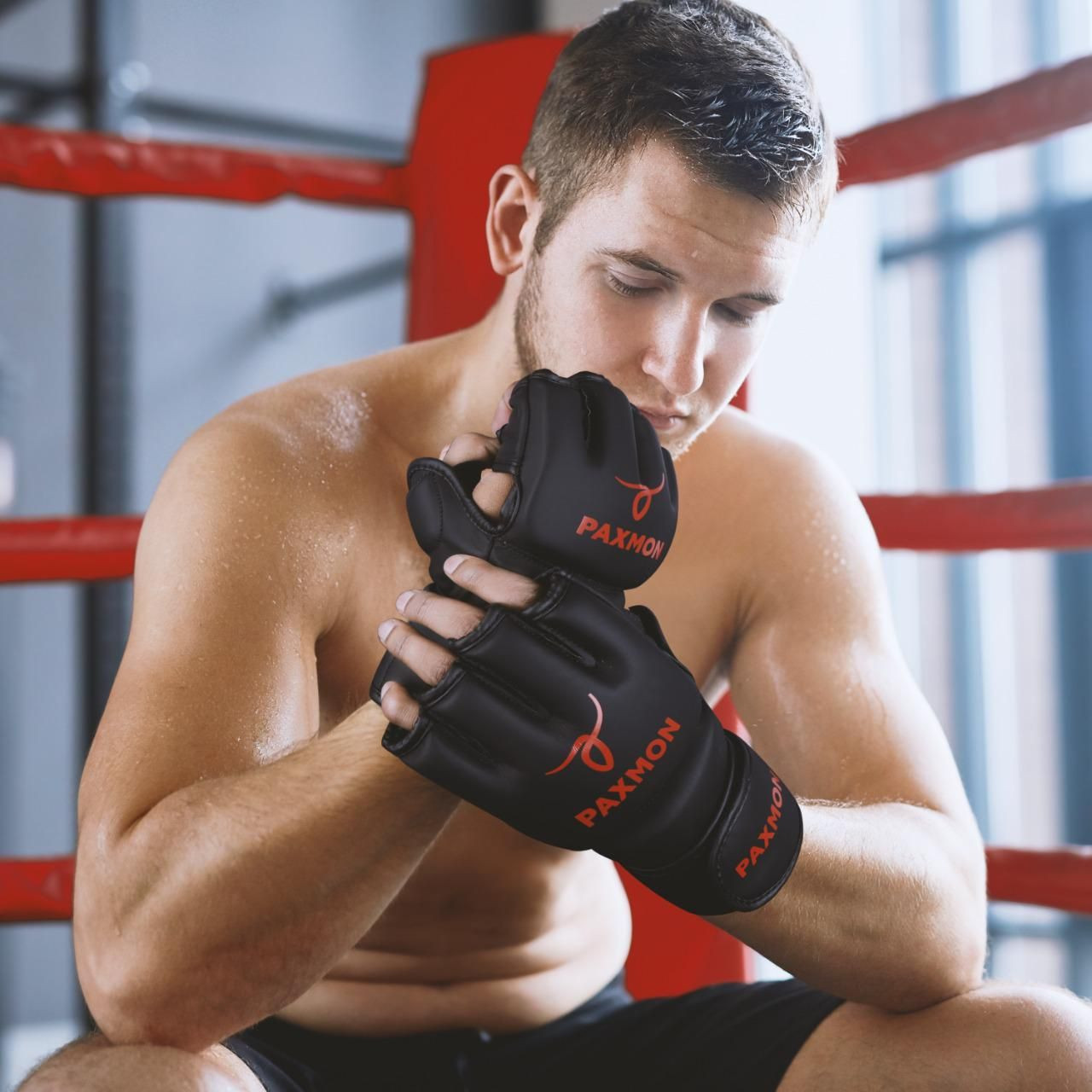 Buy Premium Mma Gloves || Customizable With Your Brand Identity from ...