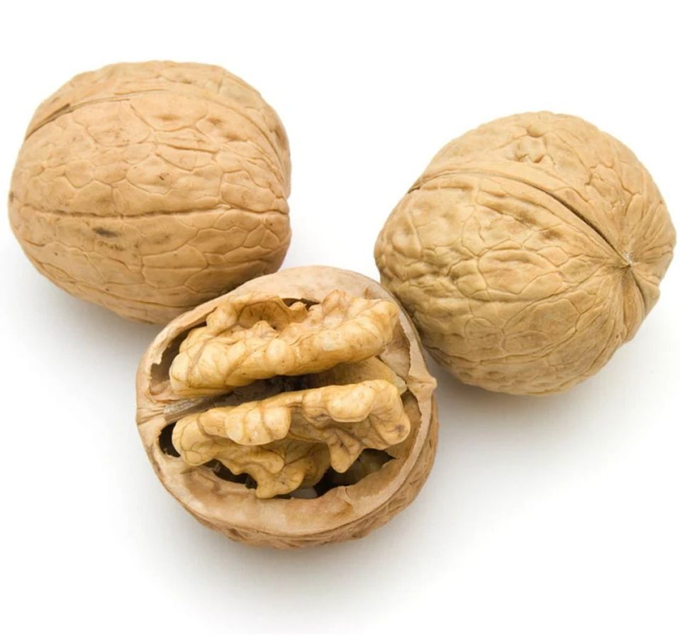 Buy Best Quality Premium Whole Walnuts 100% Natural Walnut With Shell ...