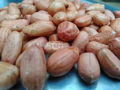 Buy Pesnuts from CAPITAL HOLDING LIMITED, Kenya | Tradewheel.com