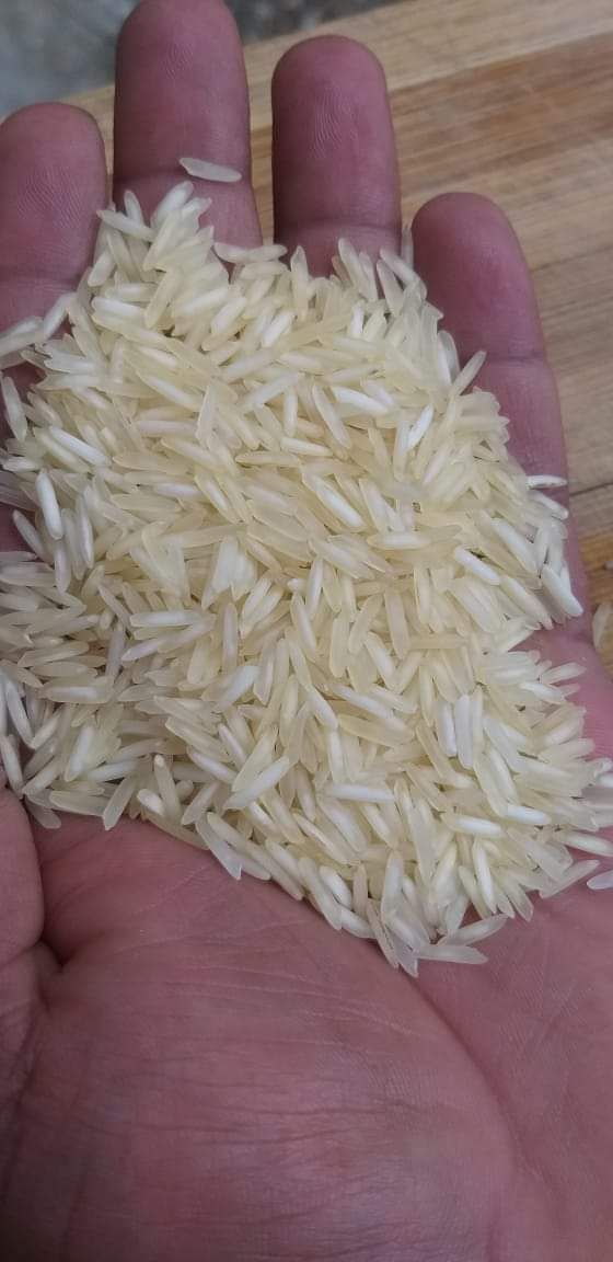 Buy Rice from EXPLORE ENTERPRISES, Pakistan | Tradewheel.com
