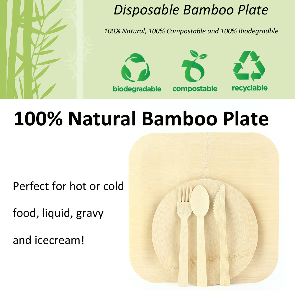 Buy 10 Inch Disposable Biodegradable Bamboo Plates Square Shape ...