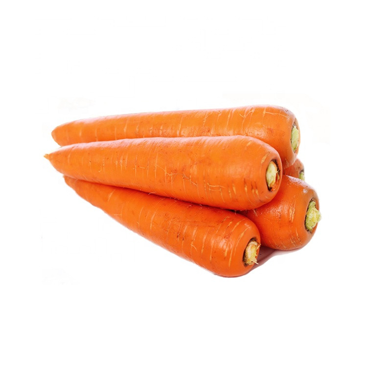 Buy Carrots Fresh Carrot Fresh Organic Vegetables High Quality ...
