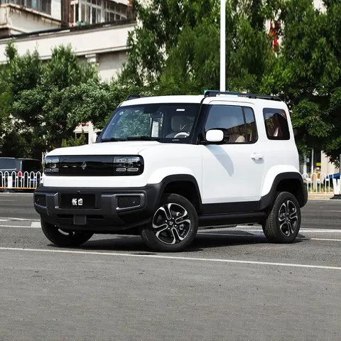 Buy China Manufacturer Factory Price Wuling Yep Pure Electric Suv Awd ...