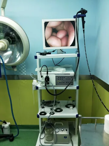 Buy Eurvet High Quality Double Channel Gastroscopes Veterinary ...