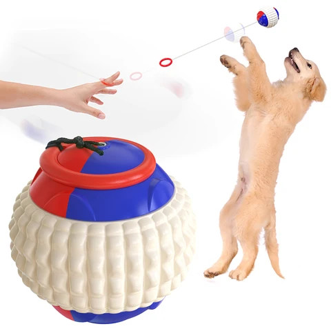 Buy Hot Dog Tennis Transmitter Throwing Chew Ball Toy Pet Snack Reward ...