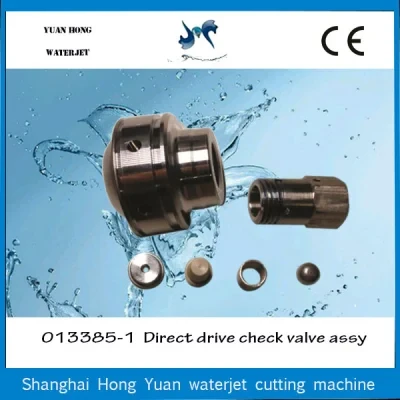 Buy Hot Sale Water Jet Direct Drive Pump Part Check Valve Assy from ...